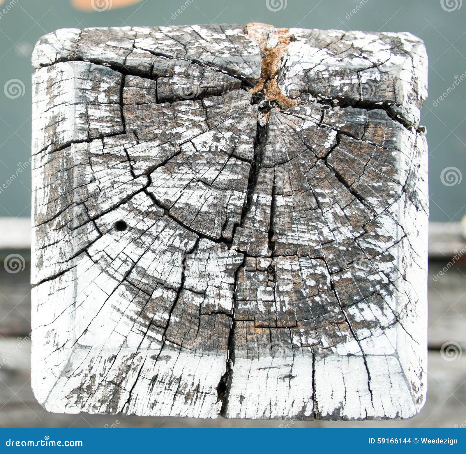 Old And Decay Wood Texture Royalty-Free Stock Photo | CartoonDealer.com ...