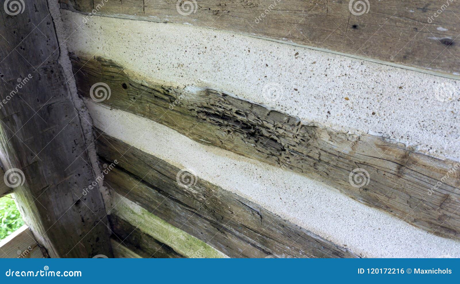 Close-up of Decayed Hand Hewed Log Stock Photo - Image of hand, decay ...