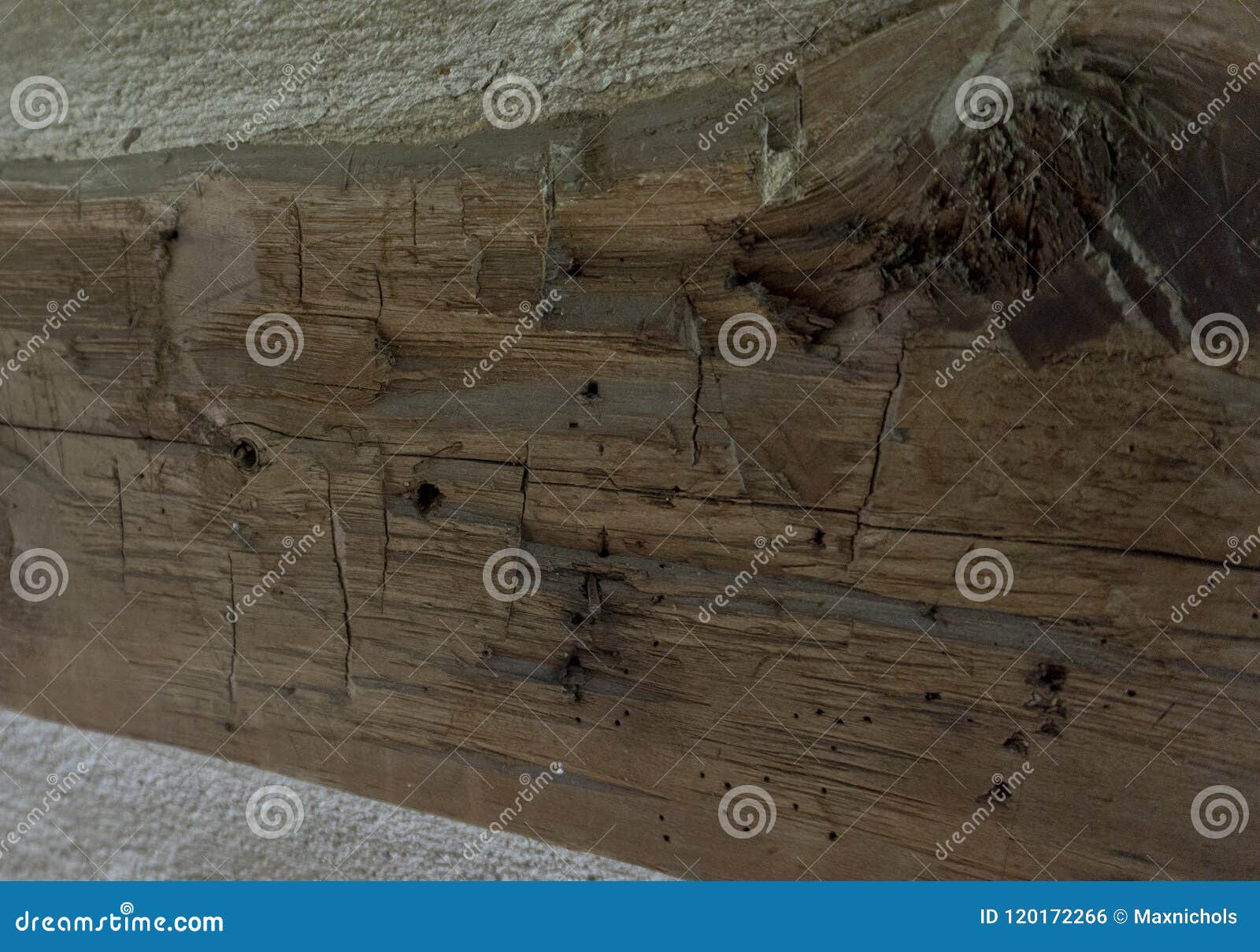 Close-up of Decayed Hand Hewed Log Stock Photo - Image of hewed ...