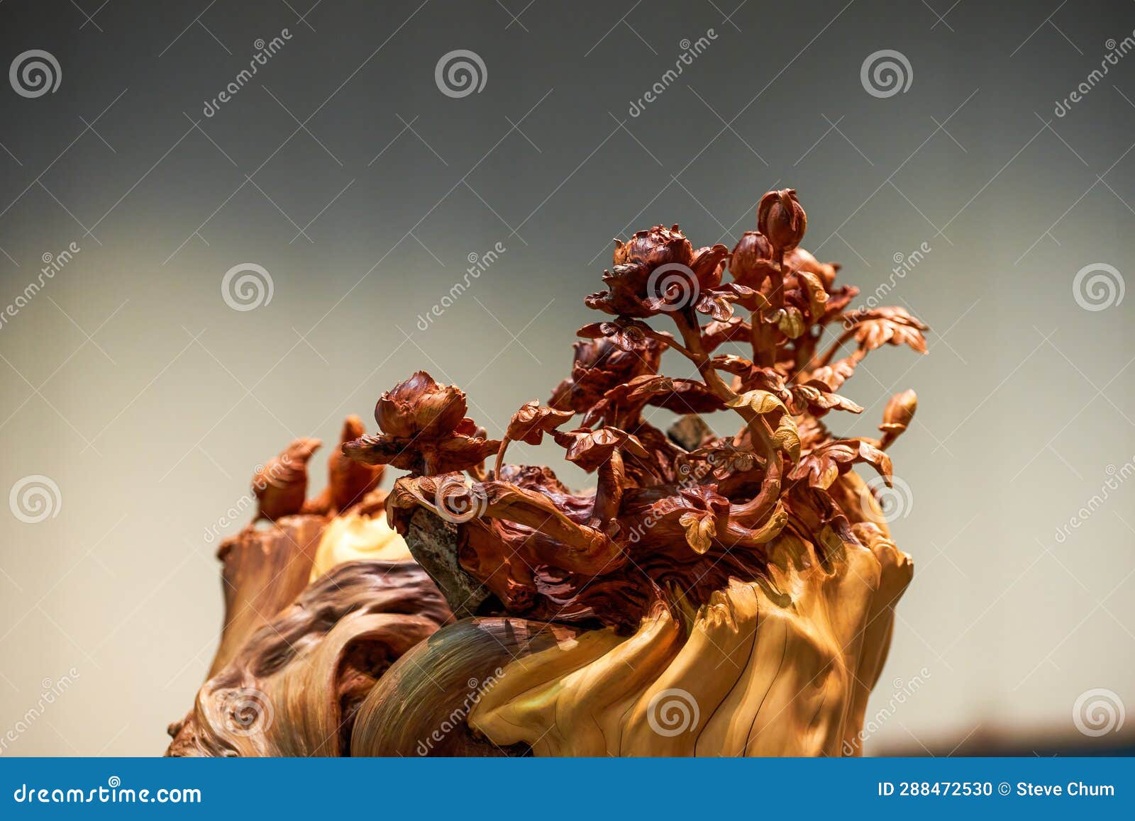 Close-up of a Delicate Wooden Root Carving Stock Photo - Image of stone ...