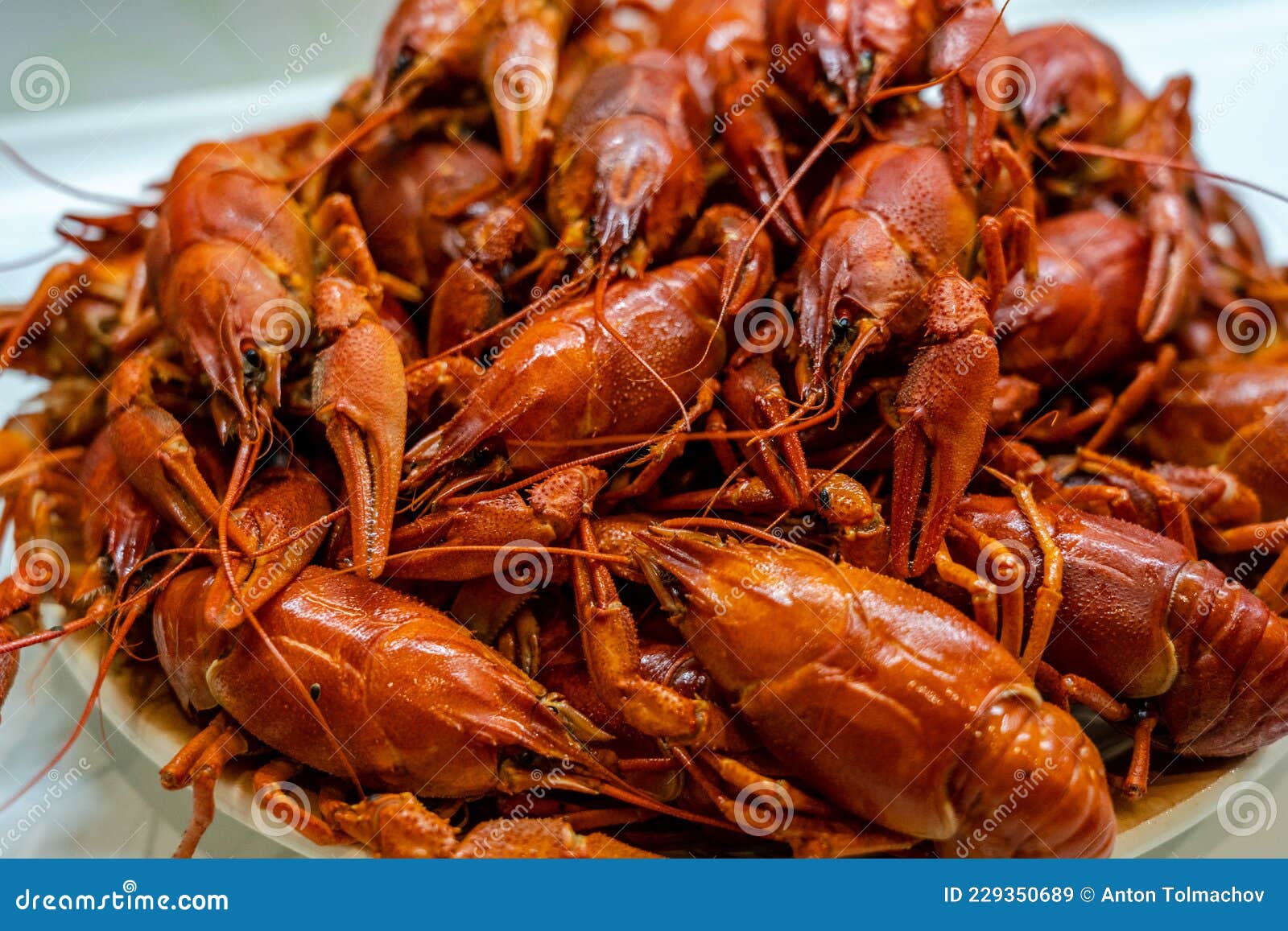 Crawfish Or Crayfish Stock Image | CartoonDealer.com #777733