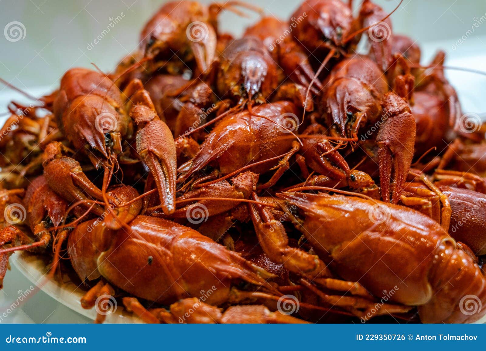 Close Up Of Delicious Red Boiled Crawfish/crayfish Stock Photo ...