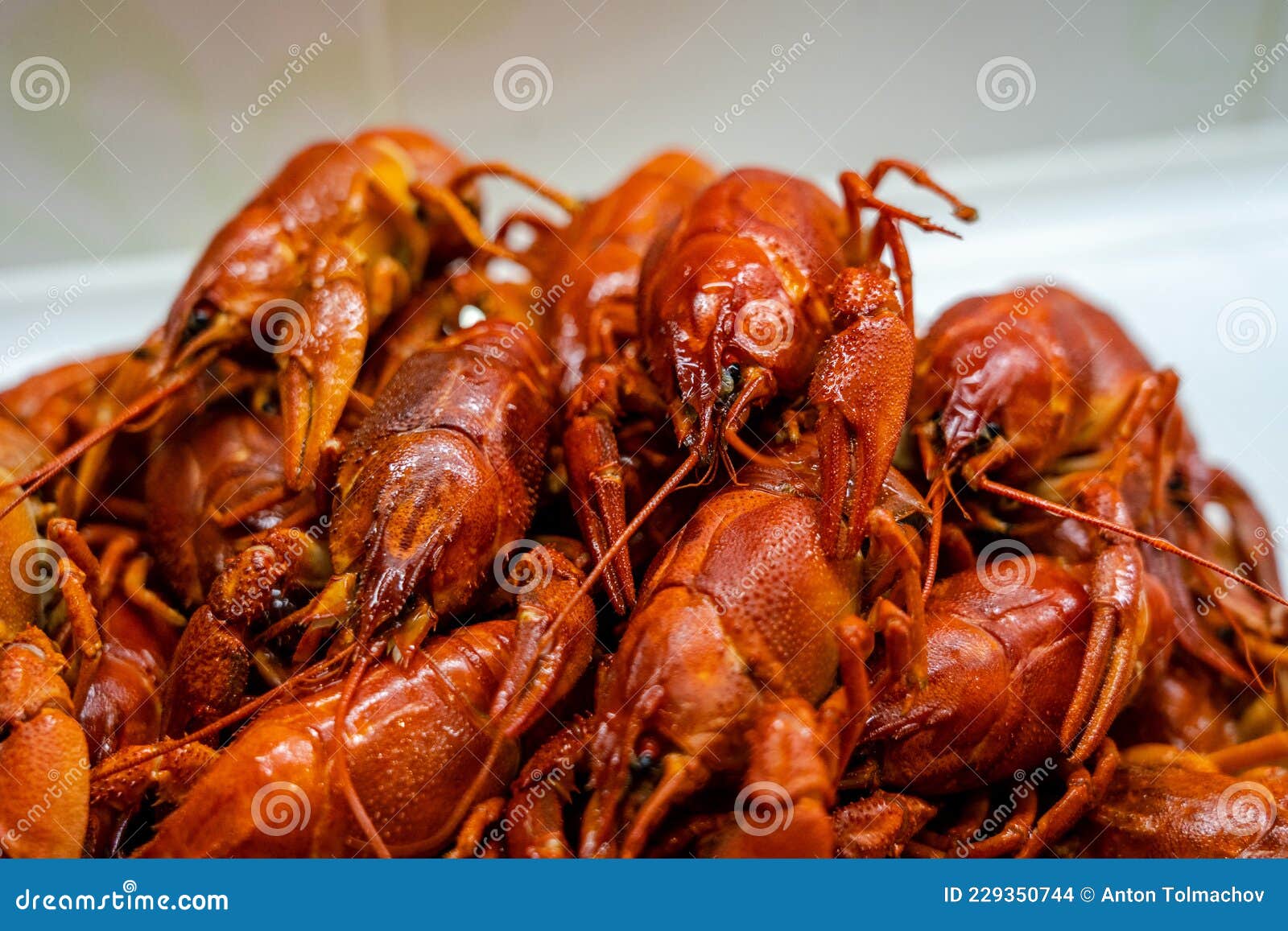 Close Up Of Delicious Red Boiled Crawfish/crayfish Stock Photo ...