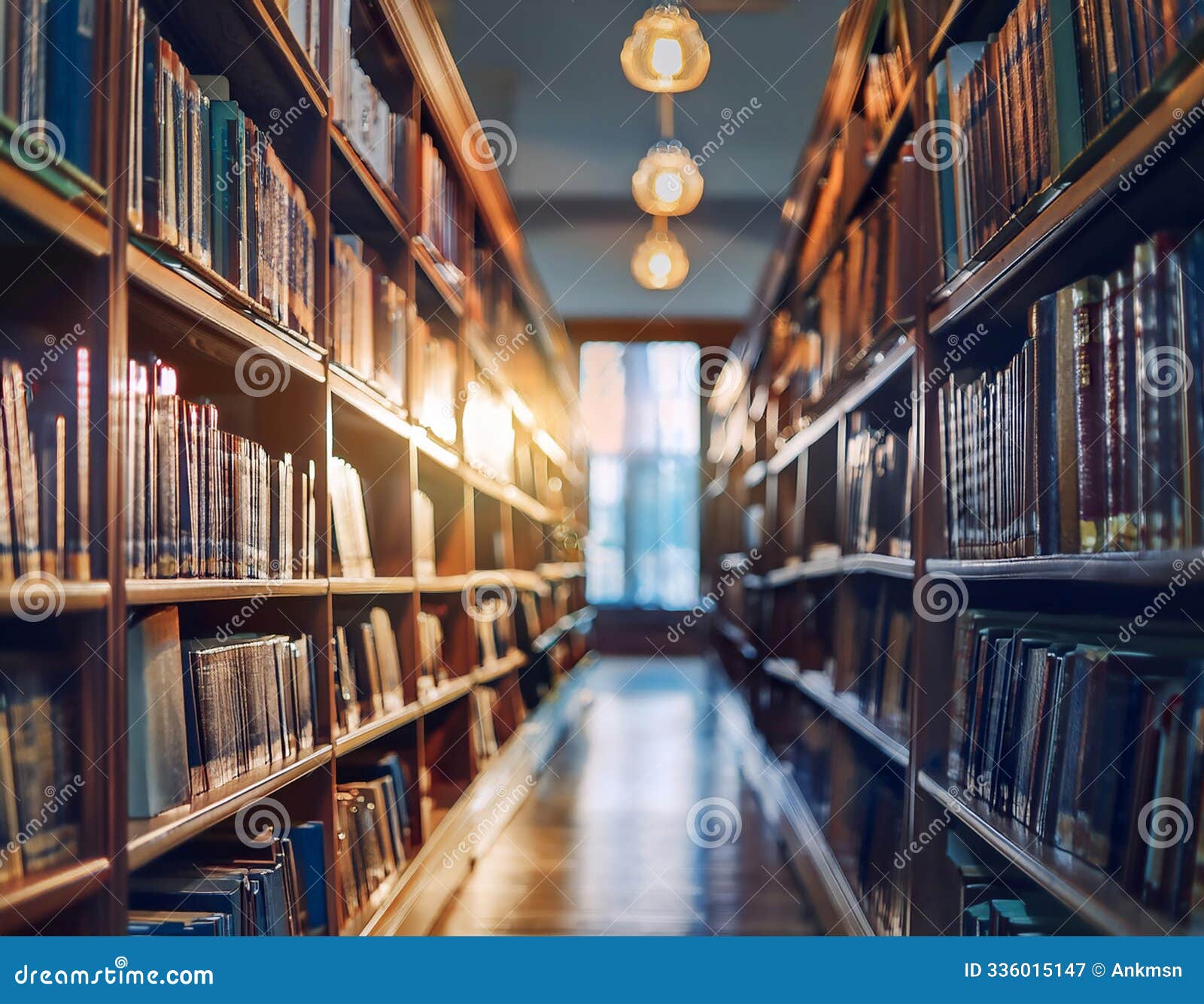 Library Featuring Rows of Books, Reading Spaces, and Educational ...