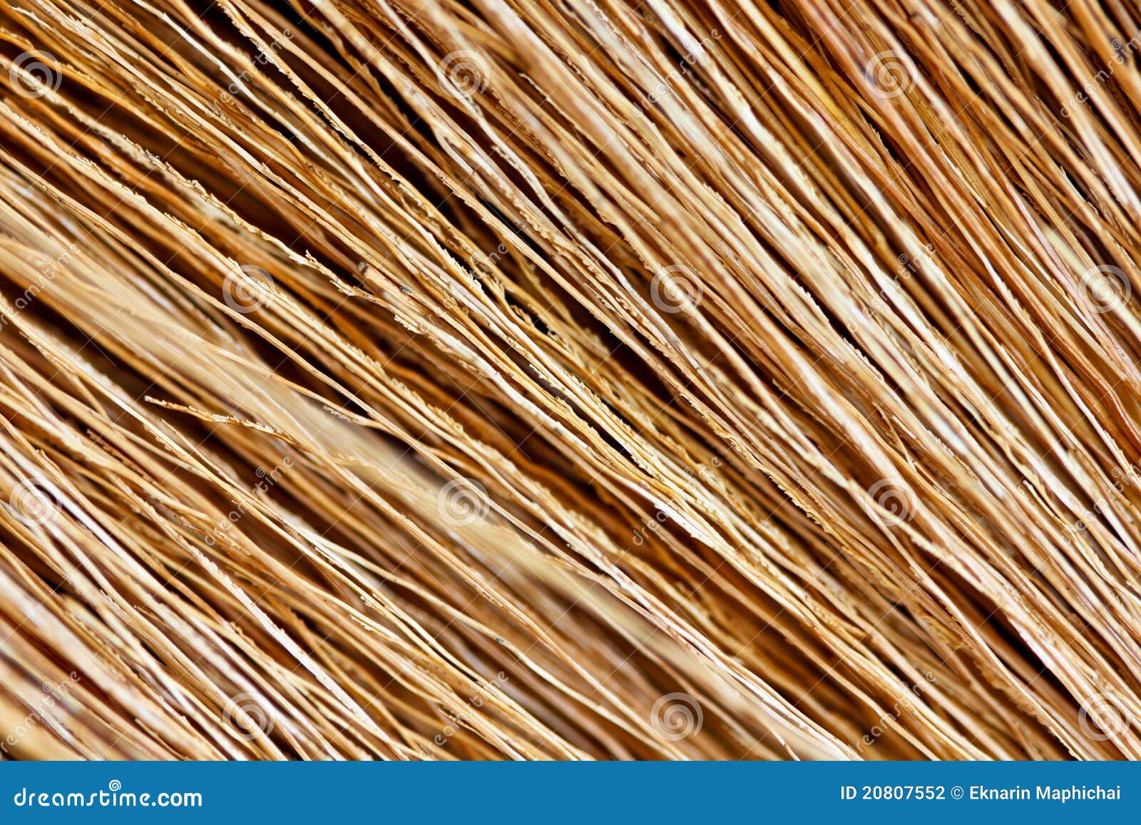 Close Up Detail of a Broom Texture Stock Photo - Image of close, grass ...