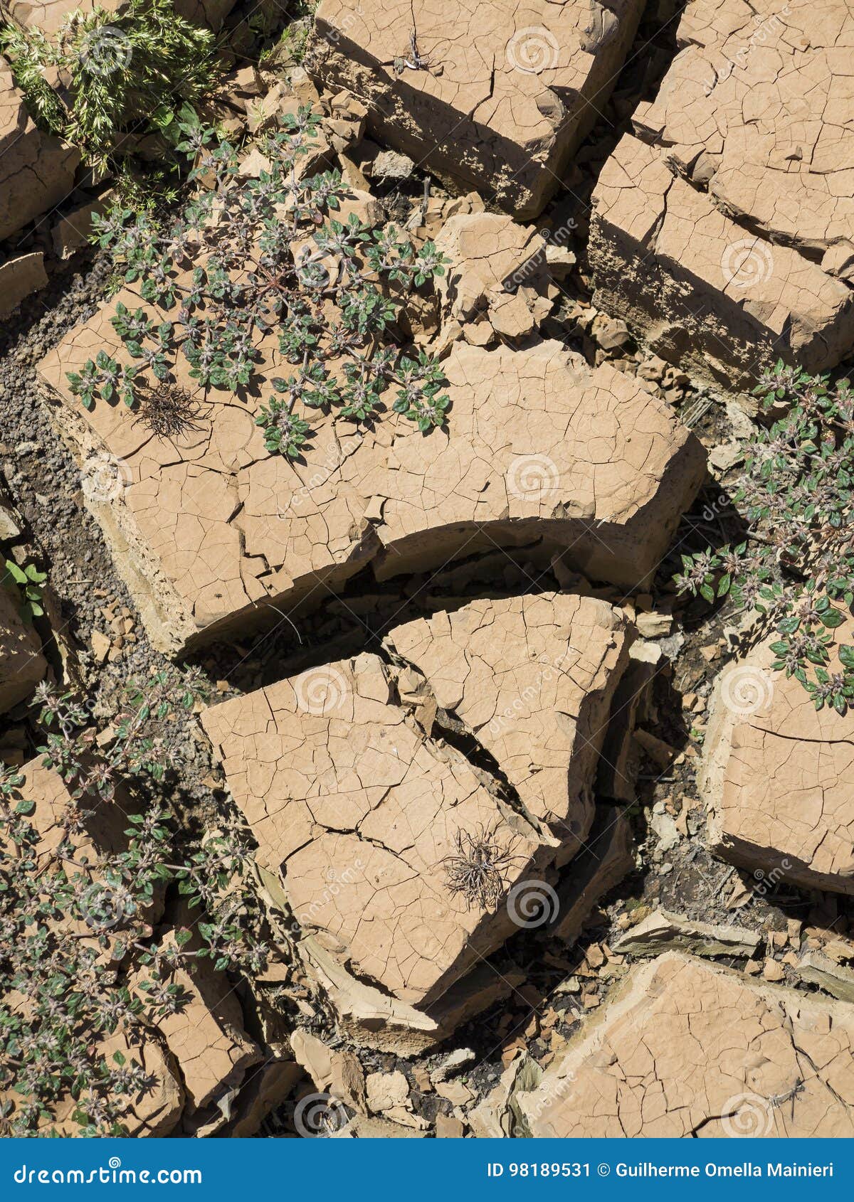 Close Up Detail of Cracked Ground Stock Image - Image of stone ...