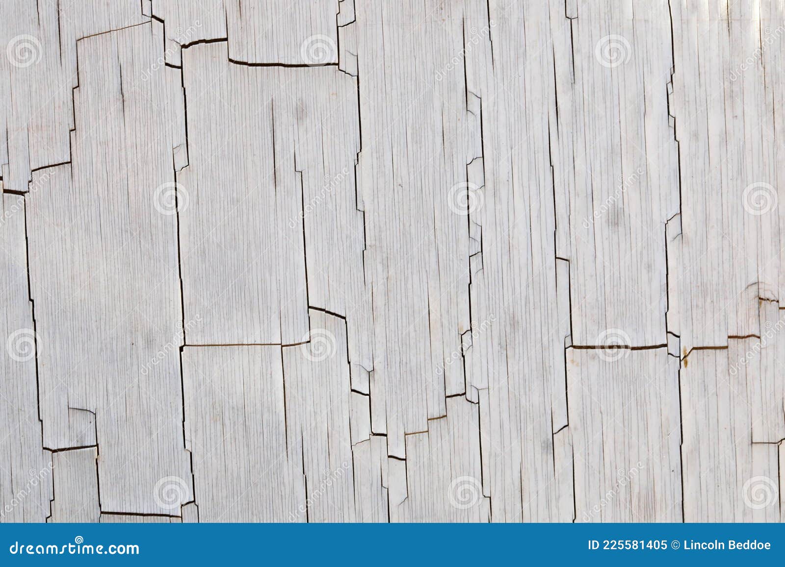 Cracking Crazed Black Cracks on a Worn White Surface Stock Image ...