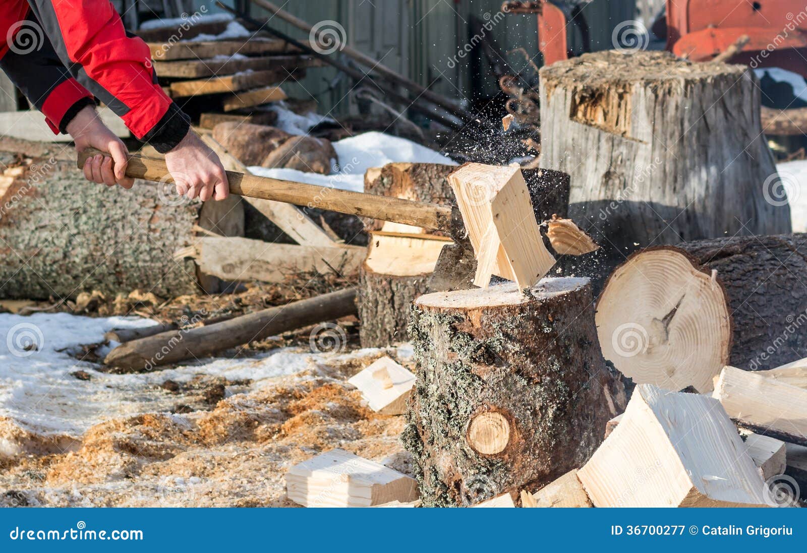 Close Up Detail of Man Breaking Fire Wood Stock Image - Image of yard ...