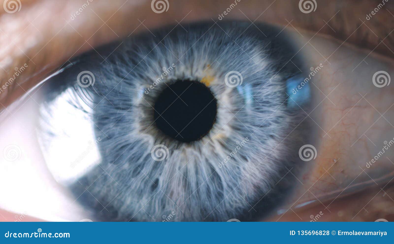 Close-up Detail of Man Eye. Macro Stock Photo - Image of detail ...