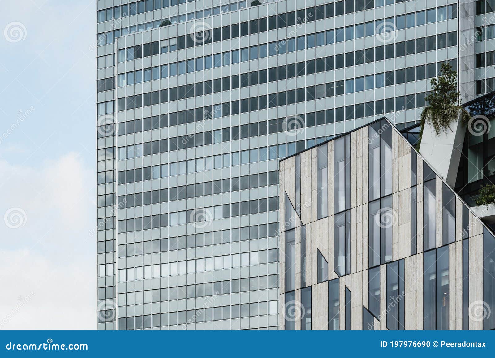 Reflected Glass Facade with Rectangular Windows Grid Frame System of ...