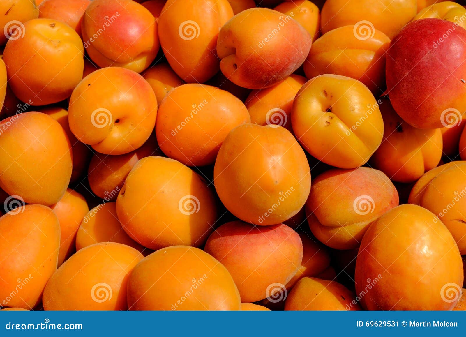 Close-up Detail View of Peaches in Sunlight Stock Image - Image of ...