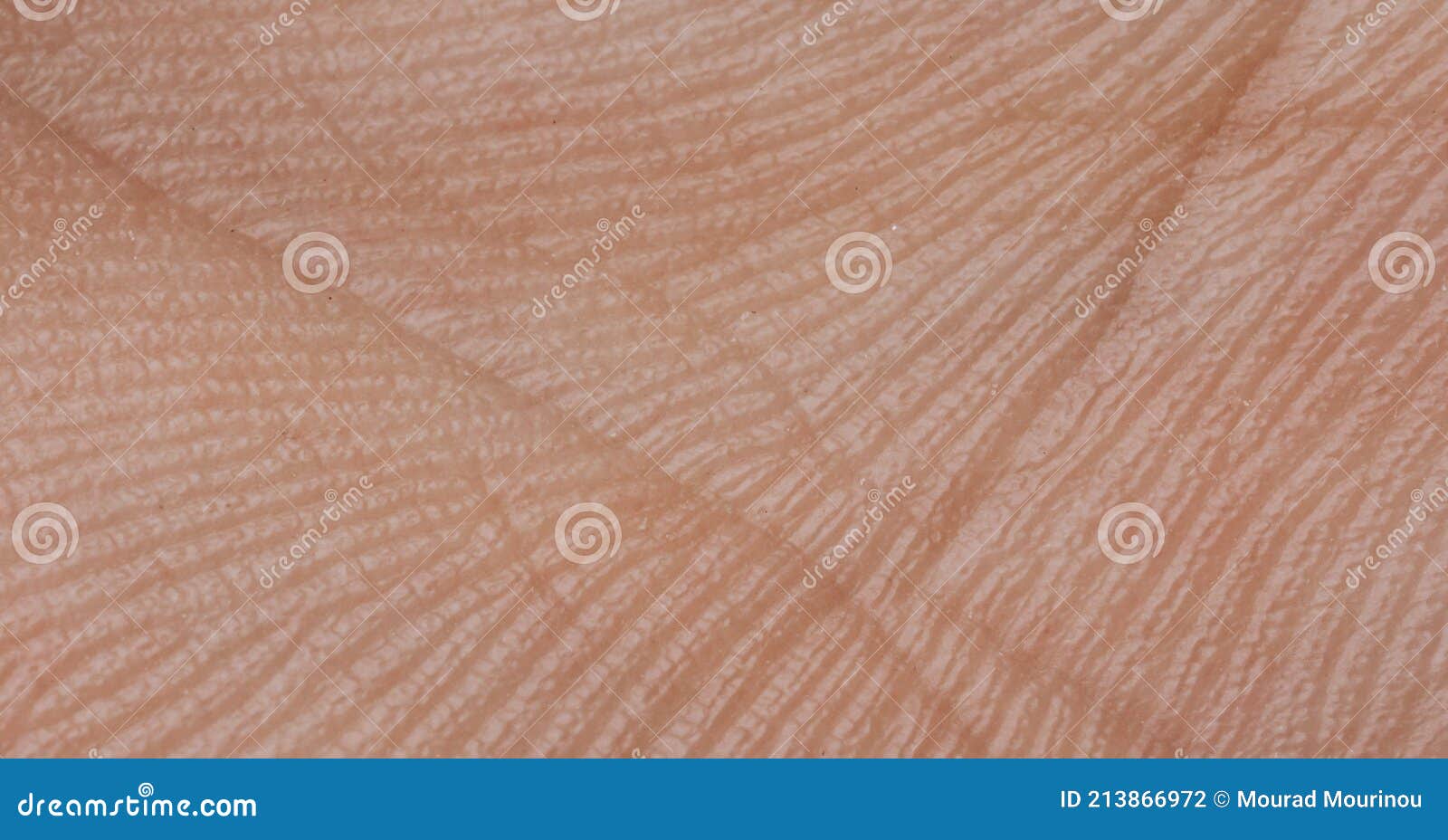 Close-up Detailed Map of the Skin of the Human Palm Stock Photo - Image ...