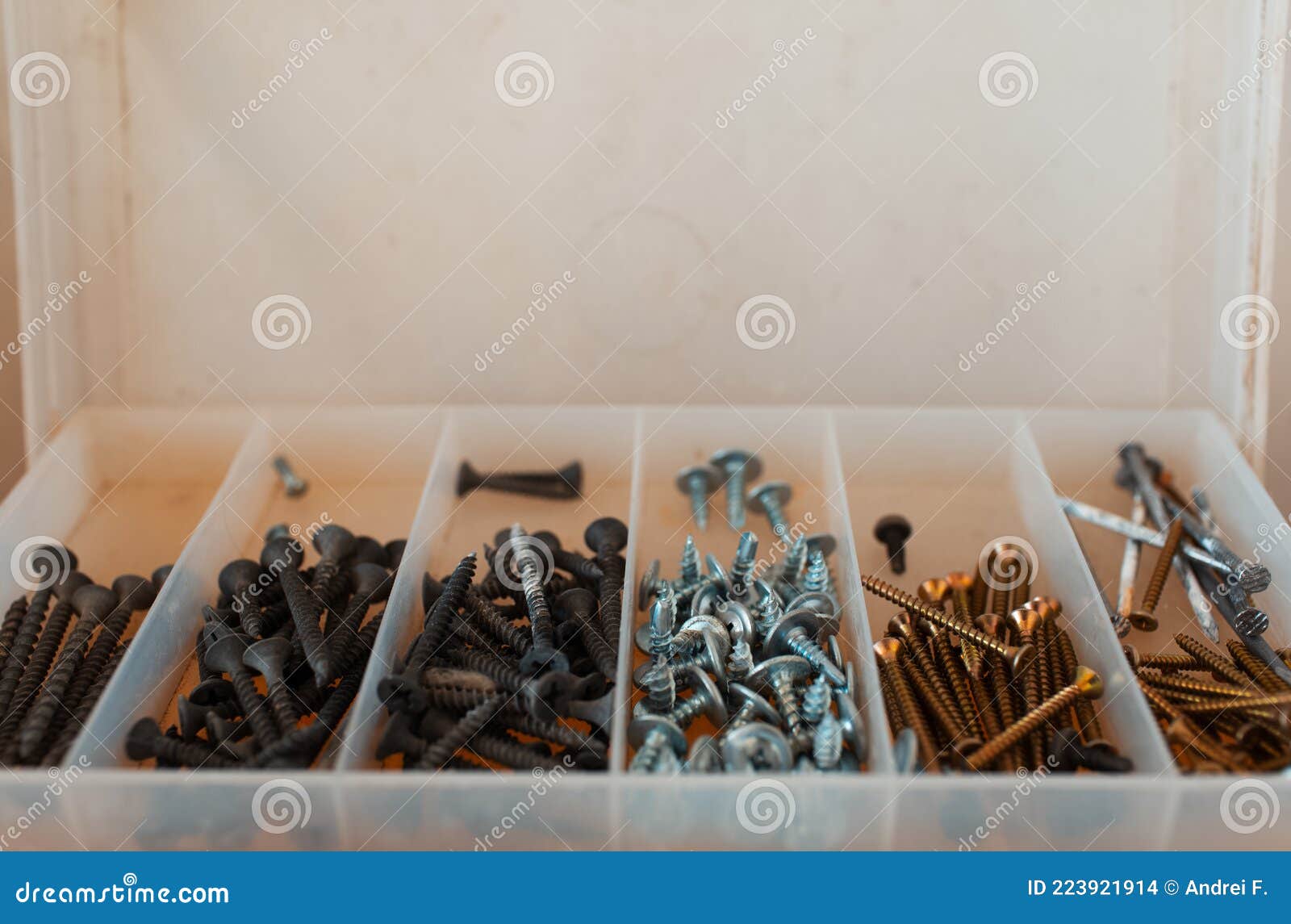 Close-up of Different Self-tapping Screws in Plastic Box. Stock Photo ...