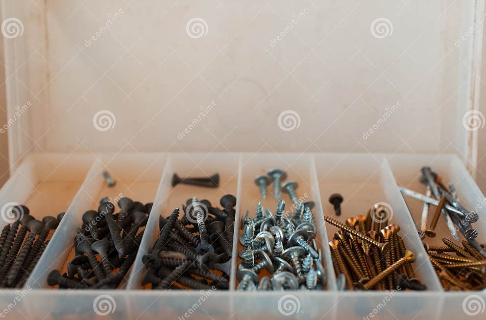 Close-up of Different Self-tapping Screws in Plastic Box. Stock Photo ...