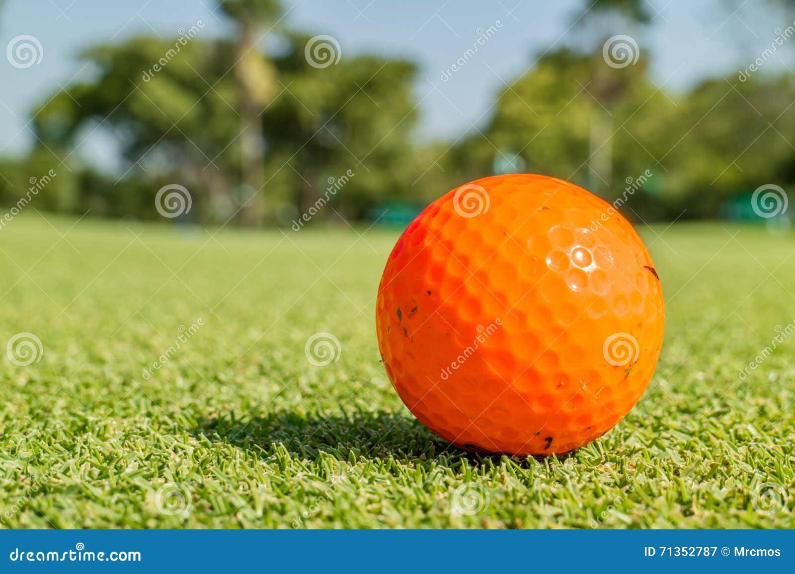 Close Up the Dirt Golf Ball on Grass with Blurred Green Golf Course ...