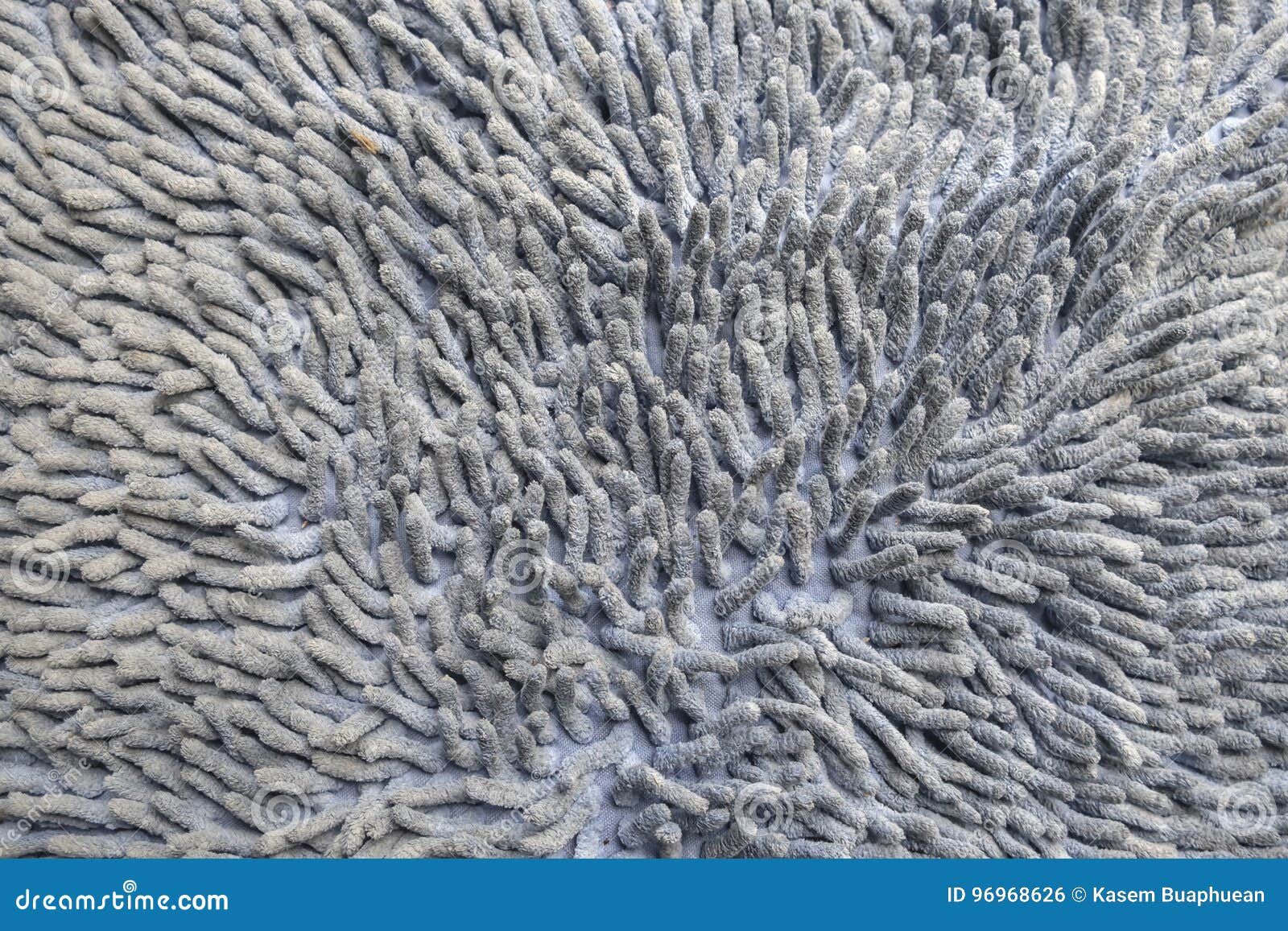 Close-up of Dirty Mop Texture Stock Photo - Image of grain, closeup ...