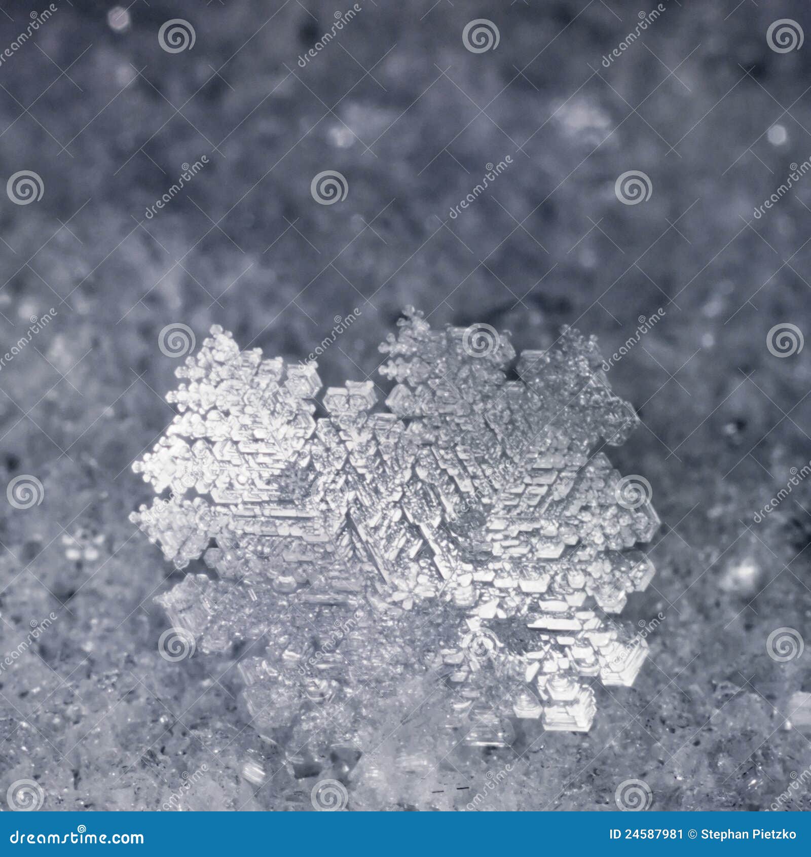 Close-up Do Floco De Neve Real Imagem de Stock - Imagem de floco, nave ...