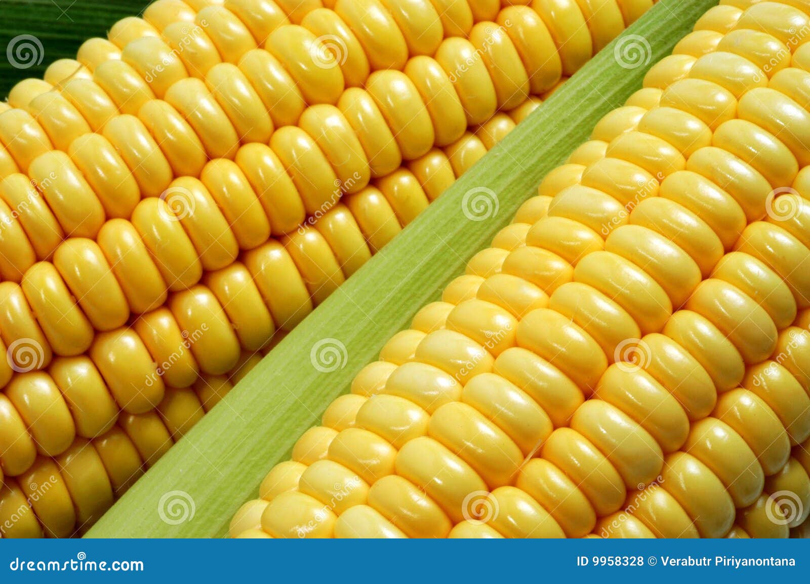 Close up do milho foto de stock. Imagem de amarelo, cubo - 9958328