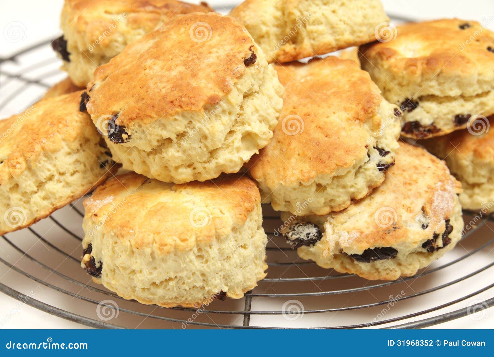 Close Up Do Sconse Do Fruto Foto de Stock - Imagem de scones, inglês ...