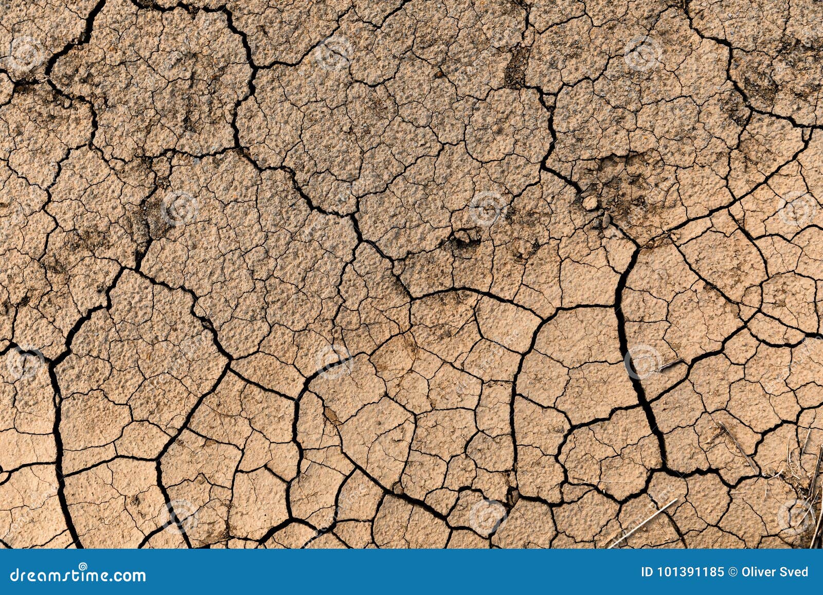 Close up do solo seco imagem de stock. Imagem de fundo - 101391185