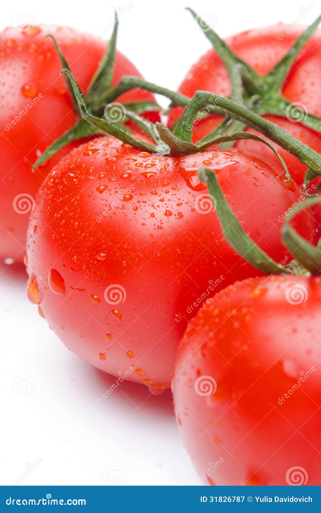 Close-up Dos Tomates Em Um Ramo Imagem de Stock - Imagem de nutriente ...