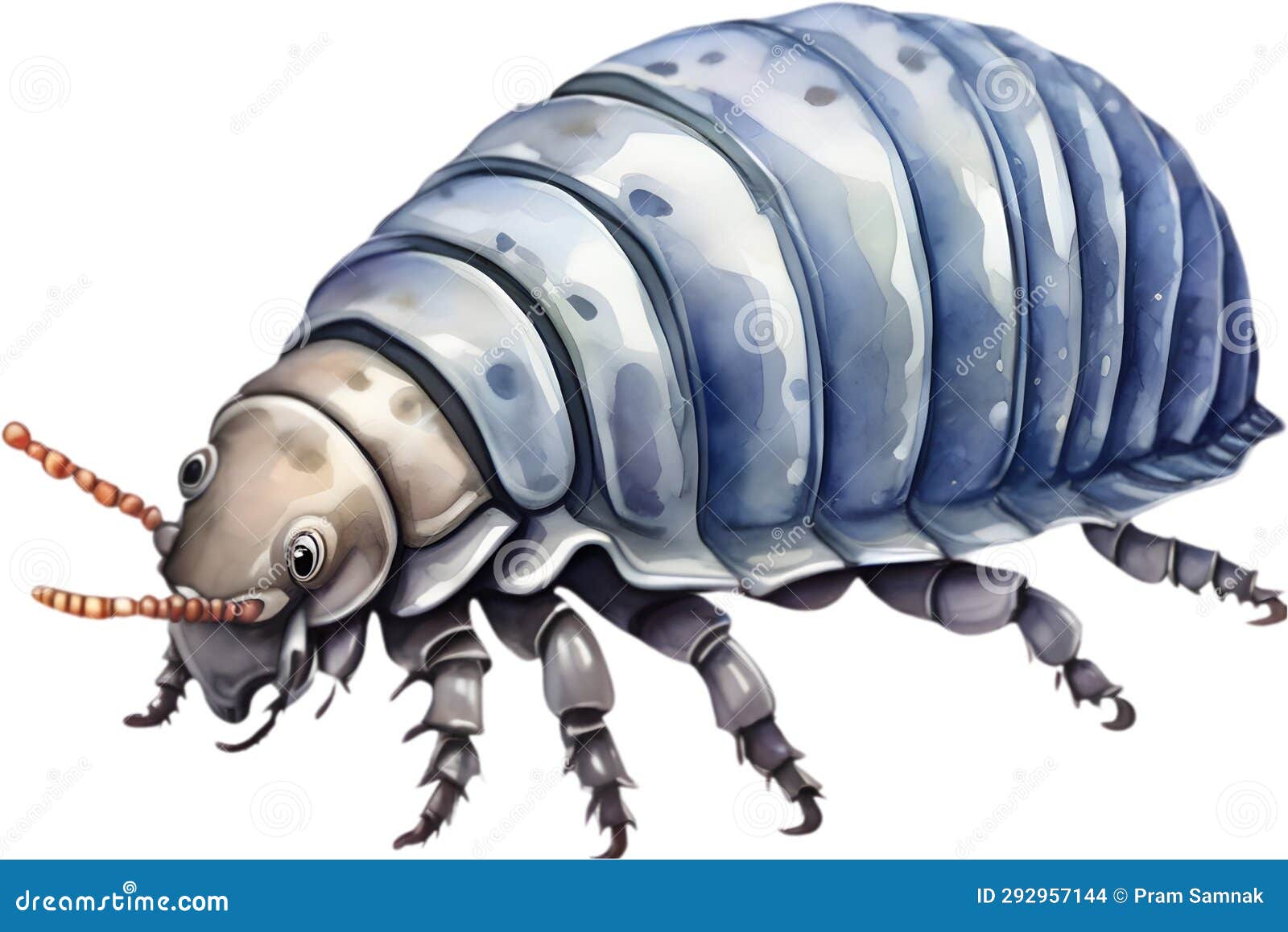 Isopods Cartoons, Illustrations & Vector Stock Images - 10 Pictures to ...