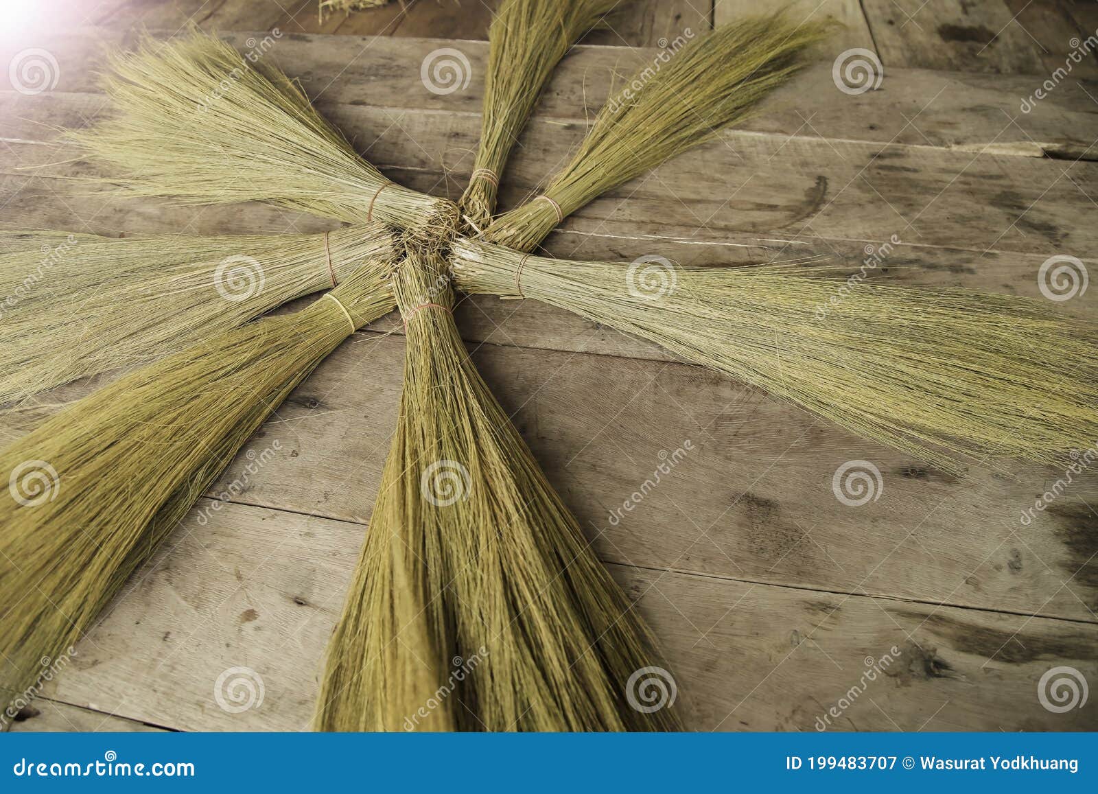 Close Up of Dried Grass Core Materials To Make Soft Brooms Stock Image ...