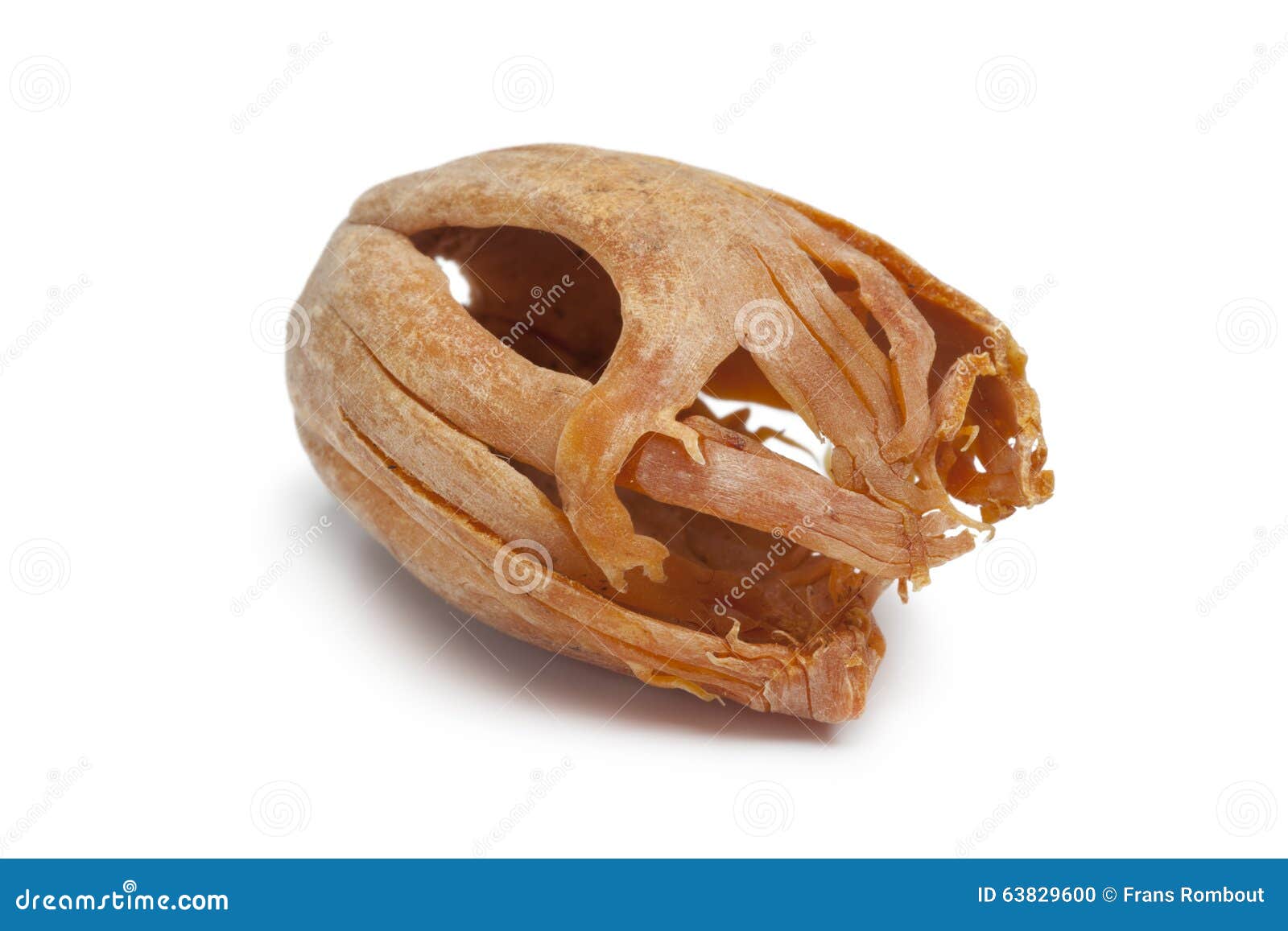 Close Up Dried Cow Dung On The Green Grass, Compost Fertilizer Shit For ...