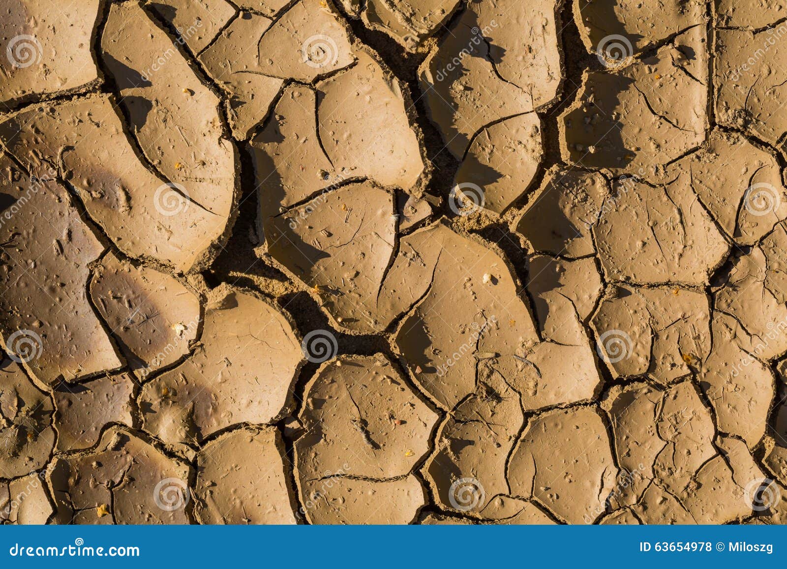 Close up of dried puddle stock photo. Image of muddy - 63654978