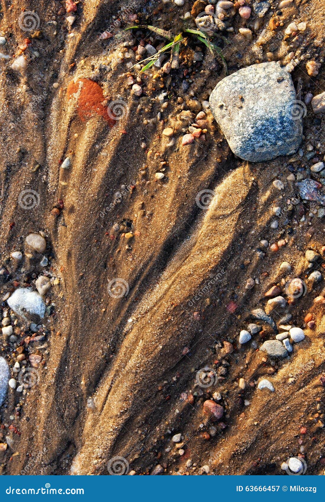 Close up of dried puddle stock image. Image of field - 63666457