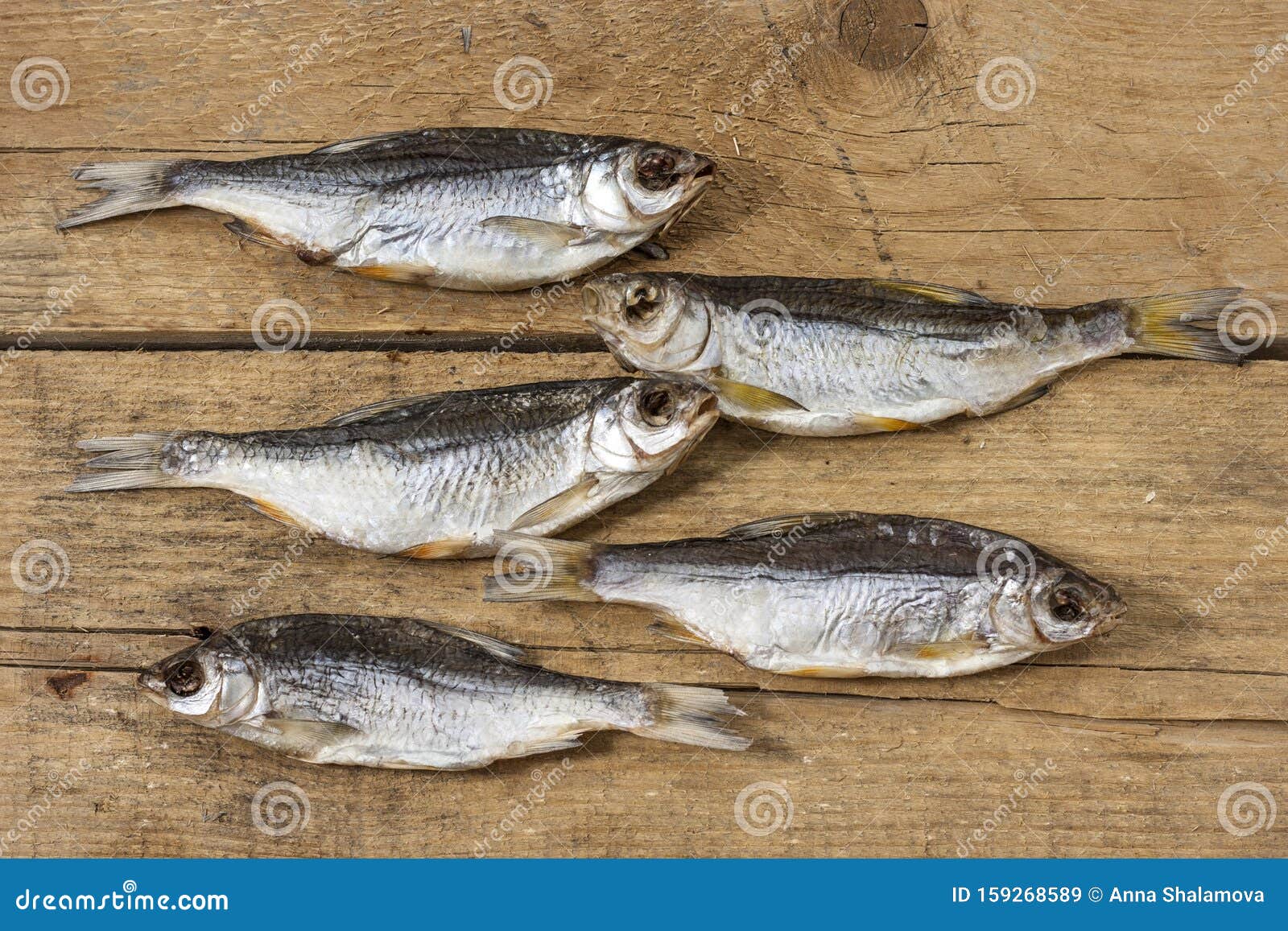 River Fish Stock Images - Download 105,925 Royalty Free Photos