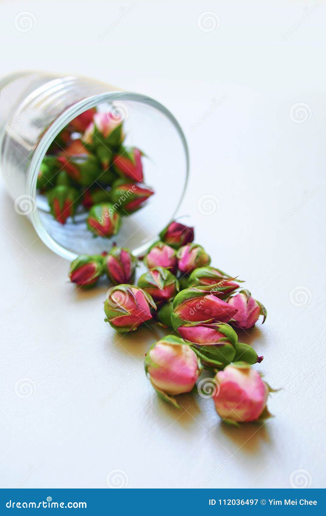 Dried Rosebuds on White Background Stock Image - Image of pink, petal ...