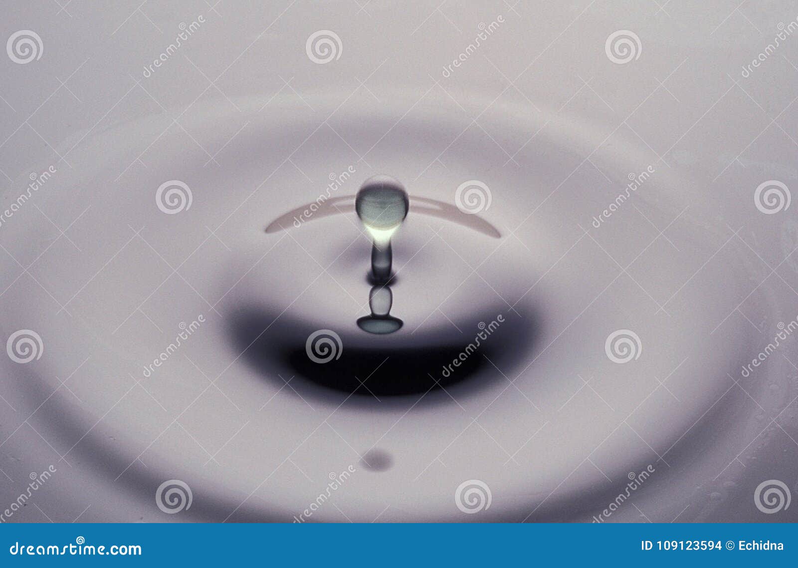 Splashdown of a Droplet Bouncing Back from the Surface Stock Photo ...