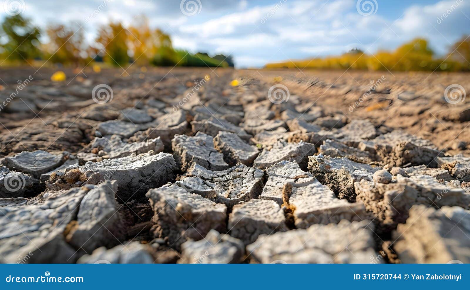 Close-up of Drought. Concept Drought, Environmental Issues, Water ...