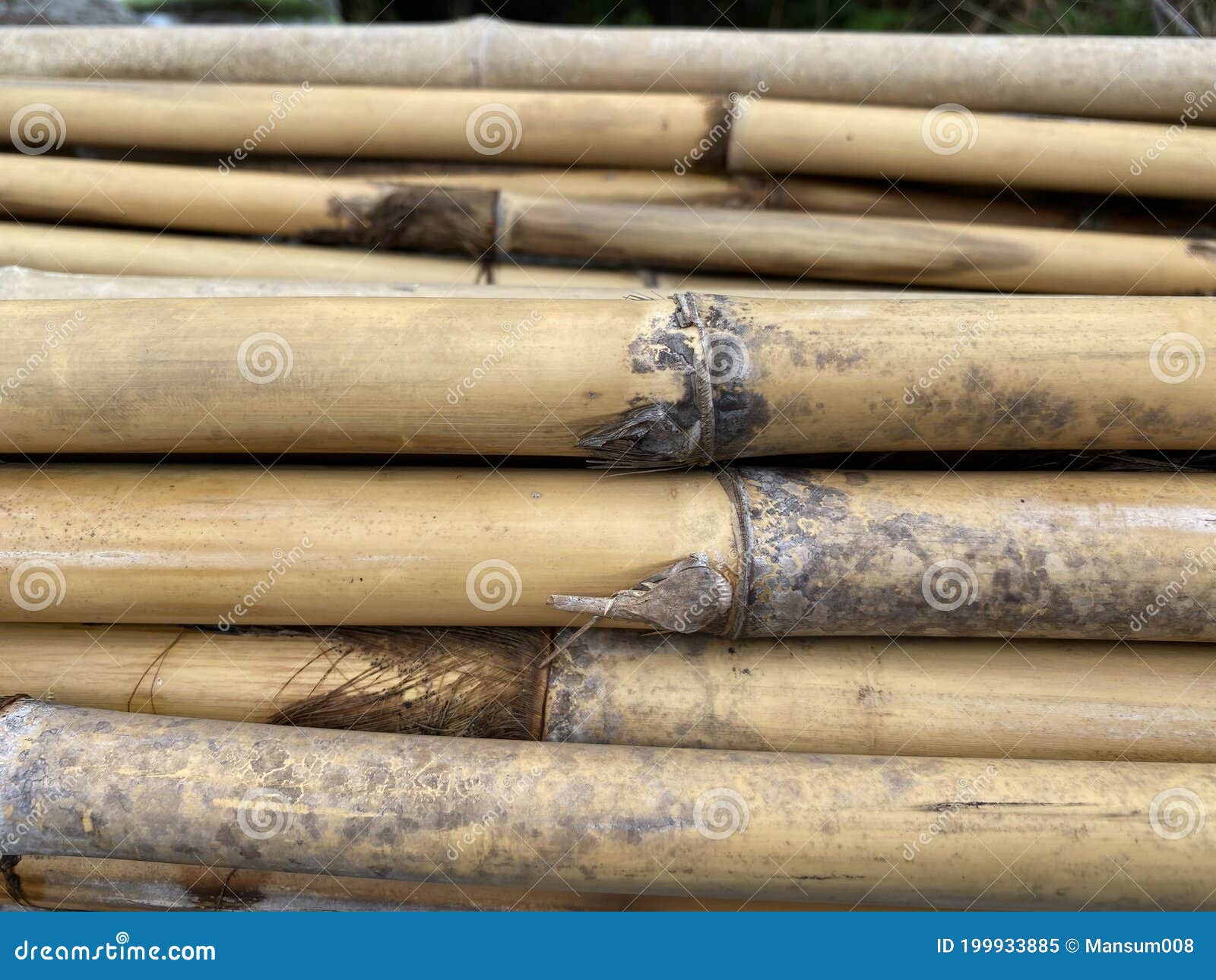 Dry Bamboo Pole on the Ground Stock Image - Image of brown, texture ...