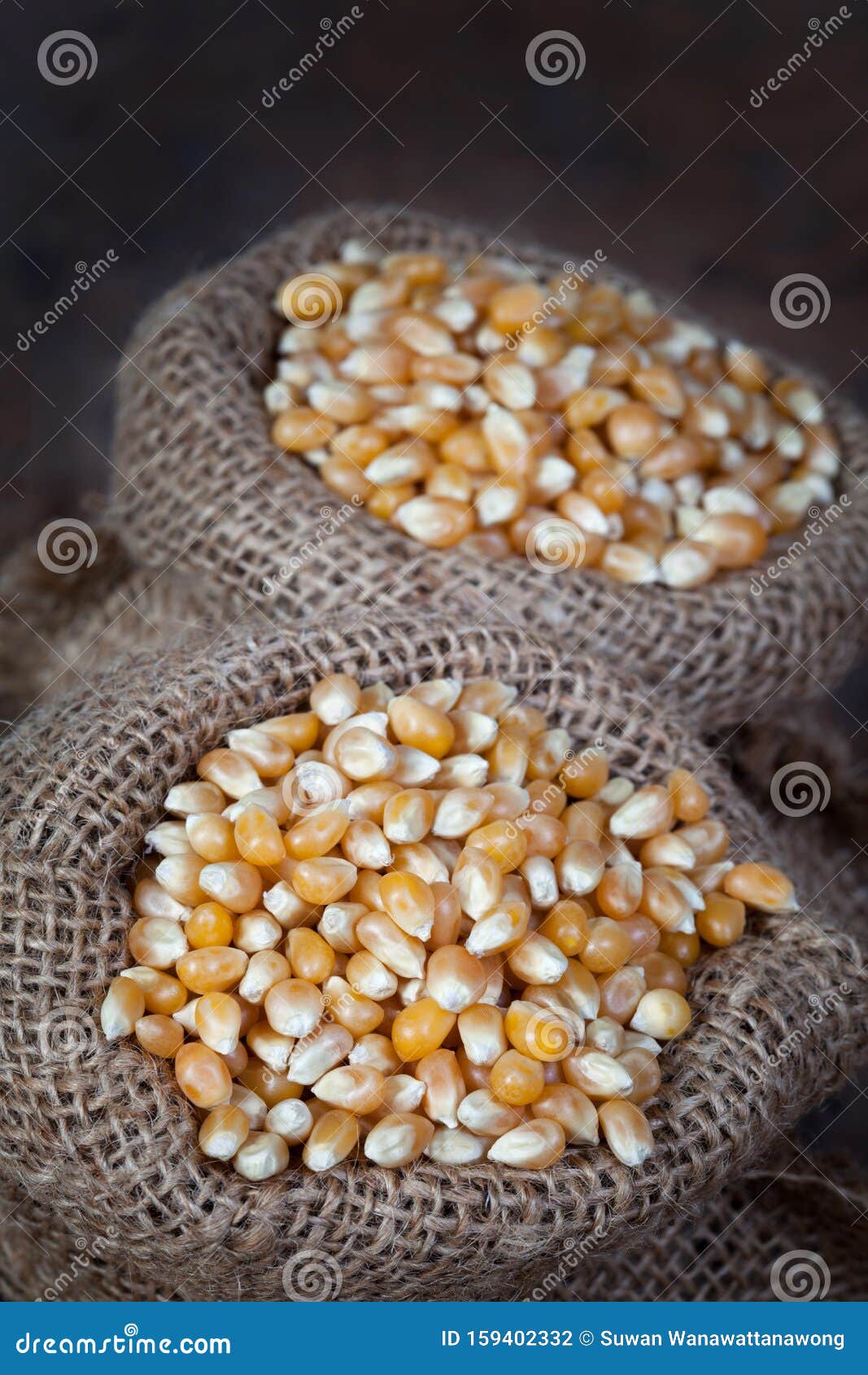 Close Up of the Dry Corn Kernels in the Hemp Sacks Stock Photo - Image ...