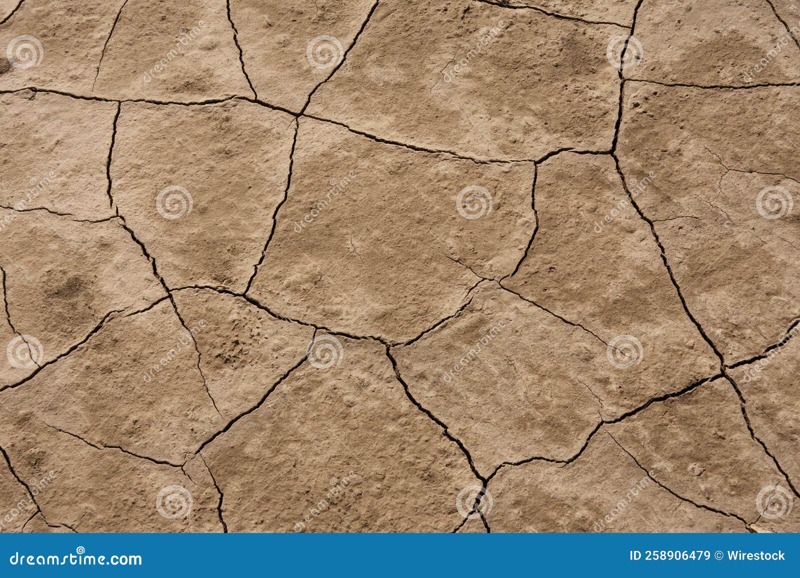 Close Up of a Dry and Cracked River Bed Stock Image - Image of surface ...