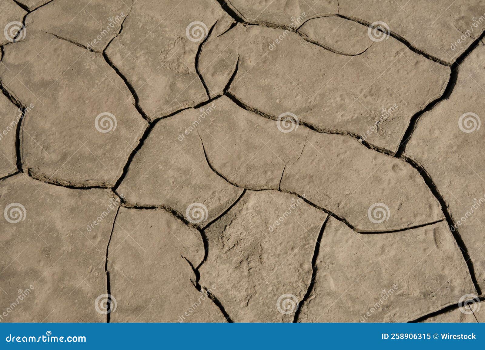Close Up of a Dry and Cracked Riverbed Stock Image - Image of land ...