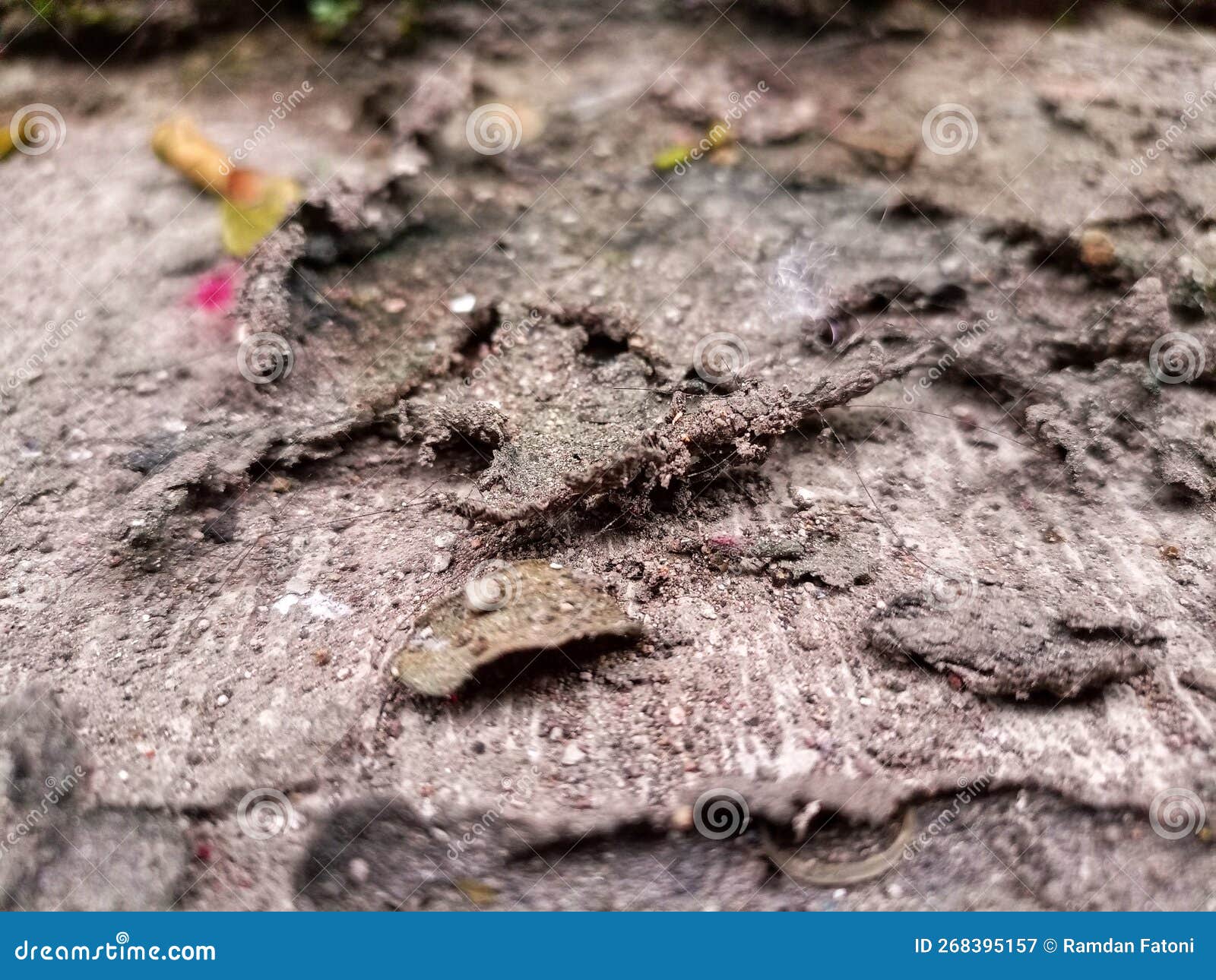 Close up of dry flaky soil stock image. Image of closeup - 268395157
