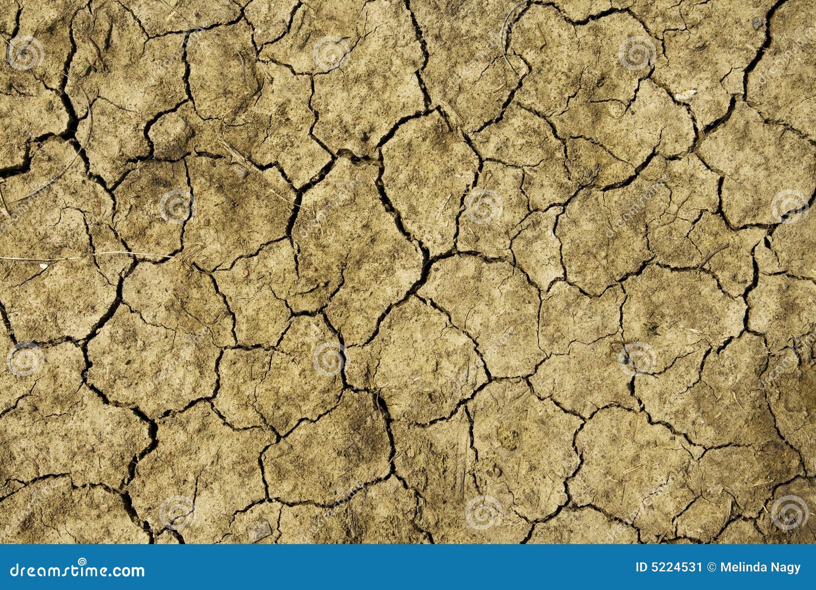 Close Up On Dry Land Picture. Image: 5224531