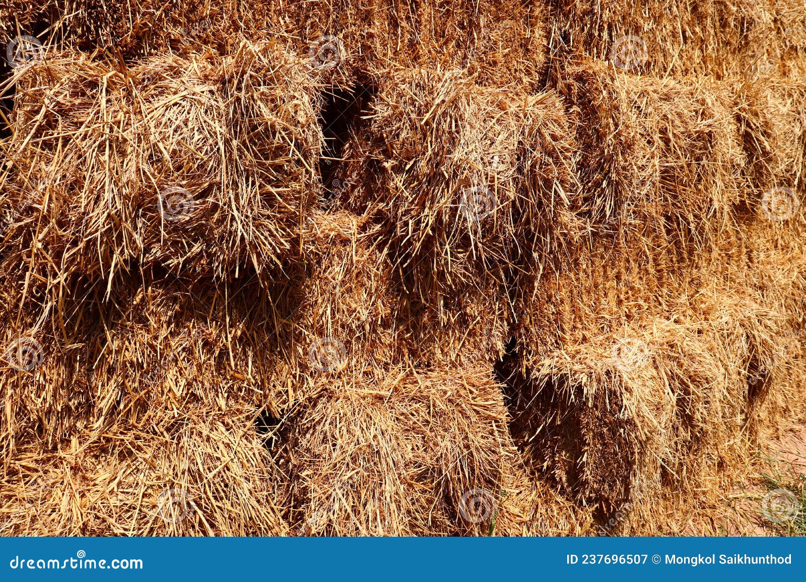 Some brown color straw stock image. Image of haystack - 237696507