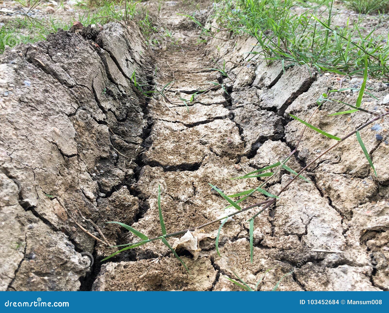 Dry Wheel Track on Dirt Soil Texture Stock Photo - Image of track ...