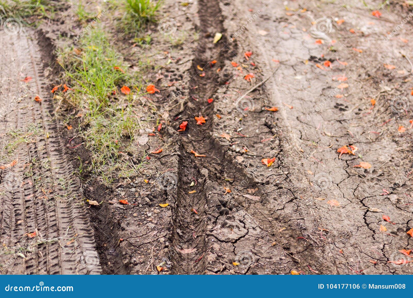 Dry Wheel Track on Dirt Soil Texture Stock Photo - Image of rugged ...
