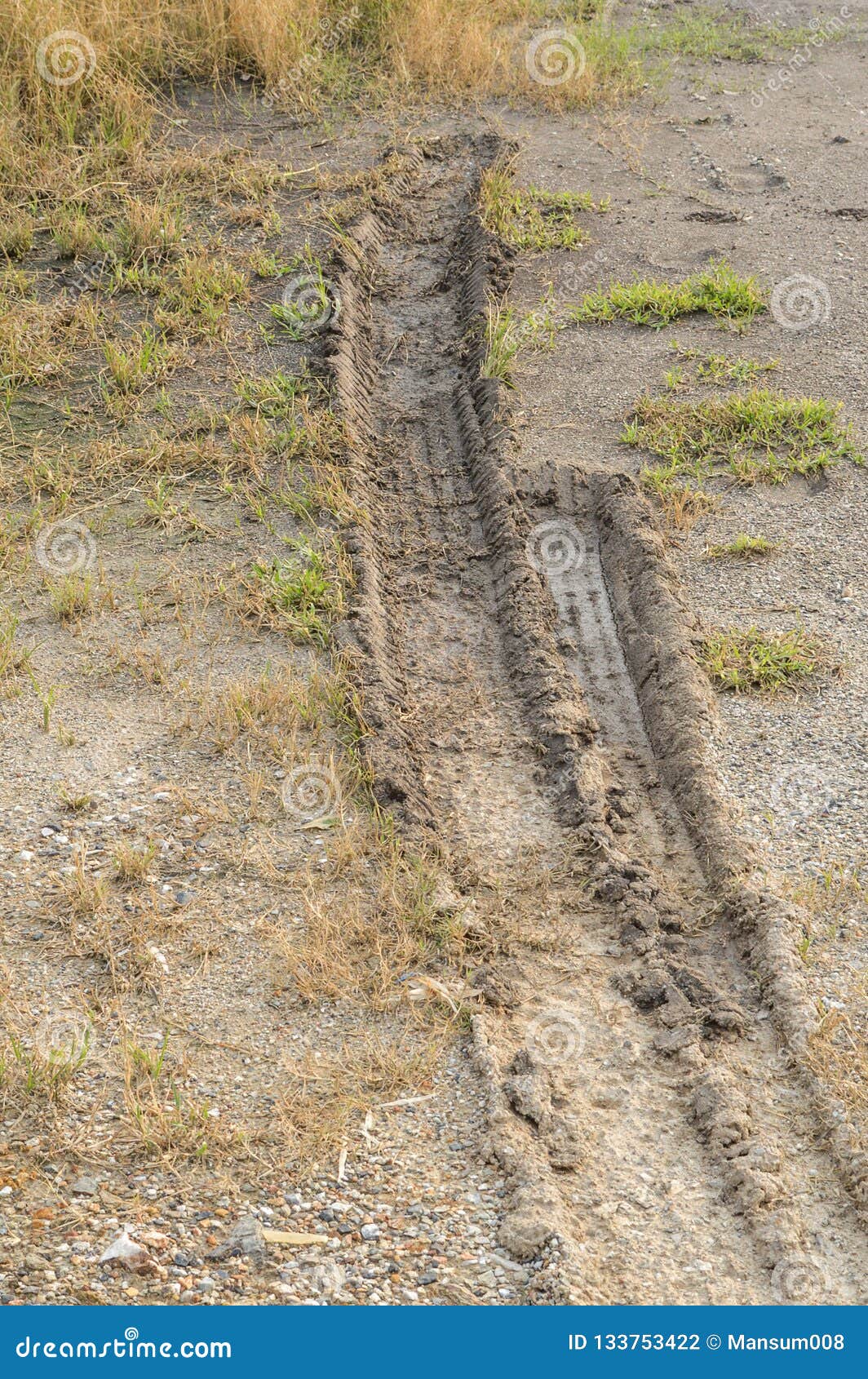 Dry Wheel Track on Dirt Soil Texture Stock Photo - Image of surface ...