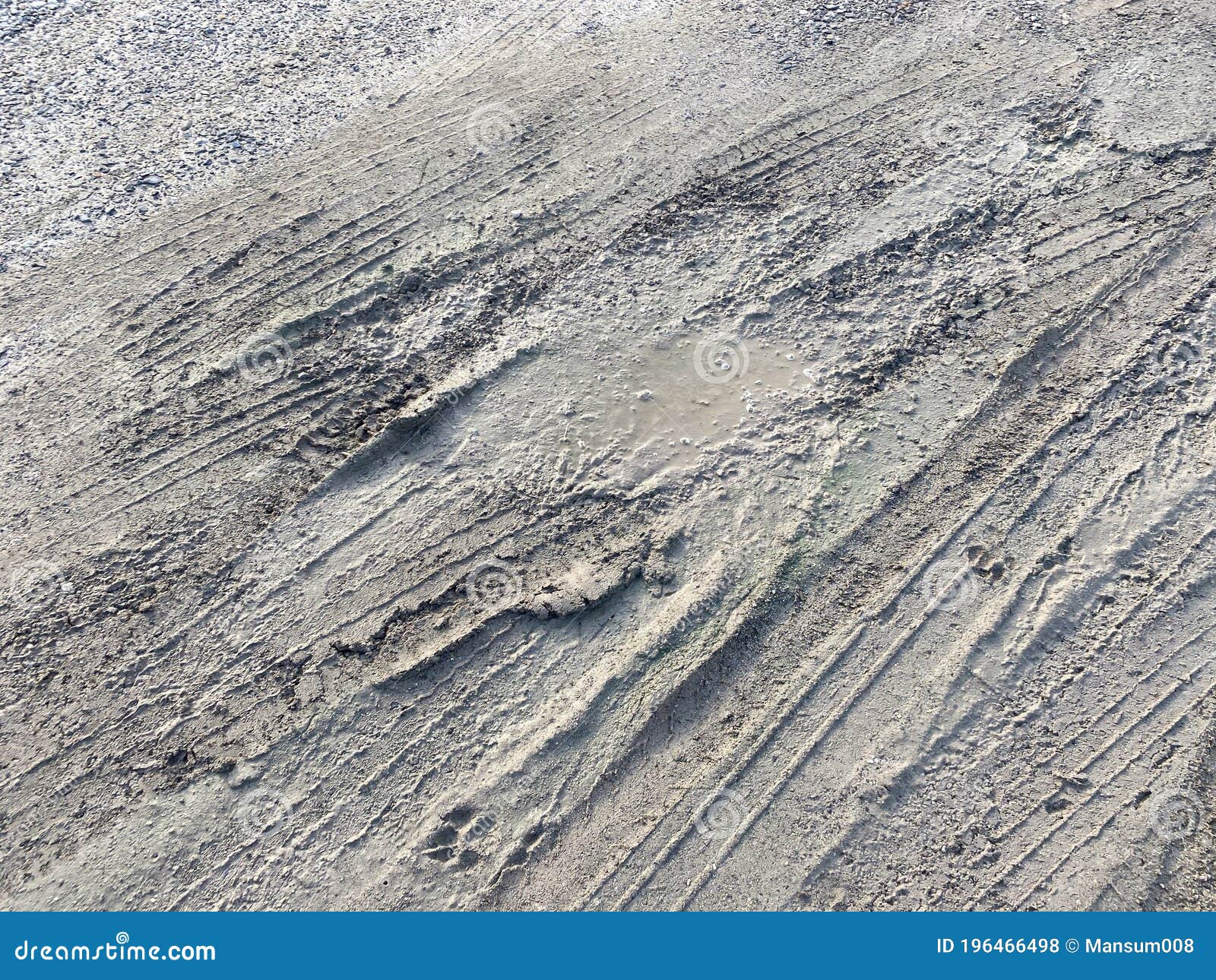 Dry Wheel Track on the Ground Stock Photo - Image of grunge, rough ...