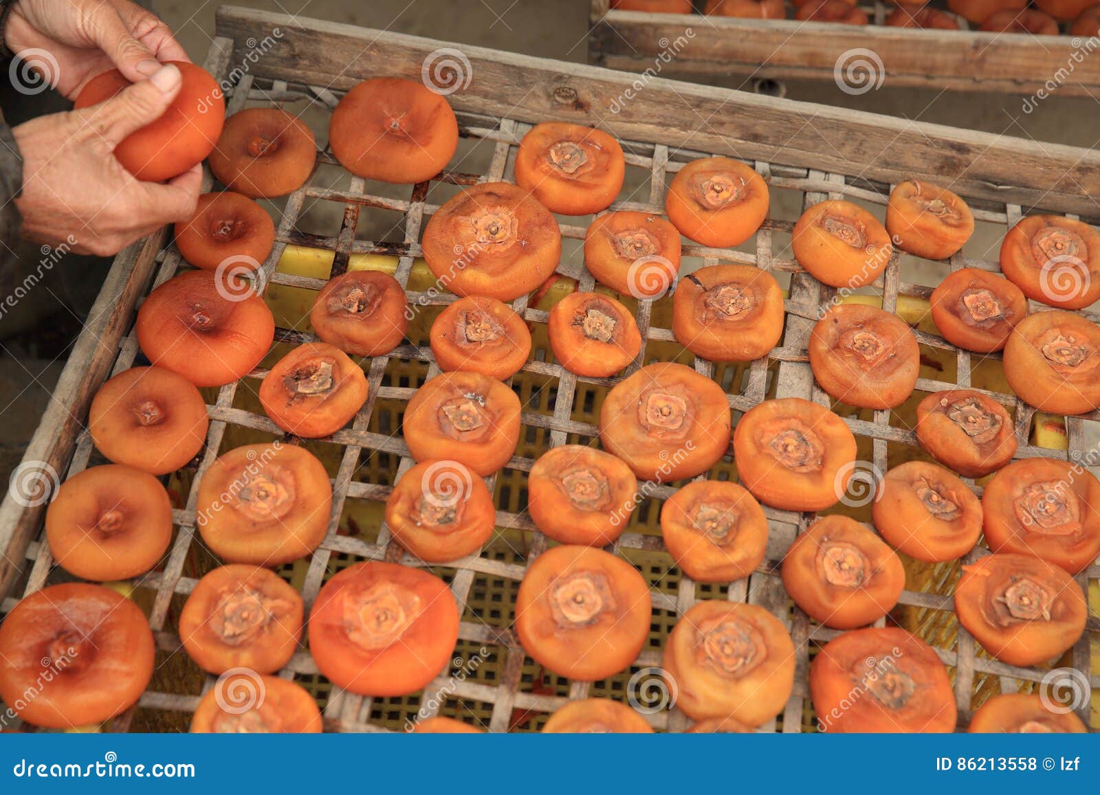 Drying persimmon fruits stock photo. Image of asian, persimmon - 86213558