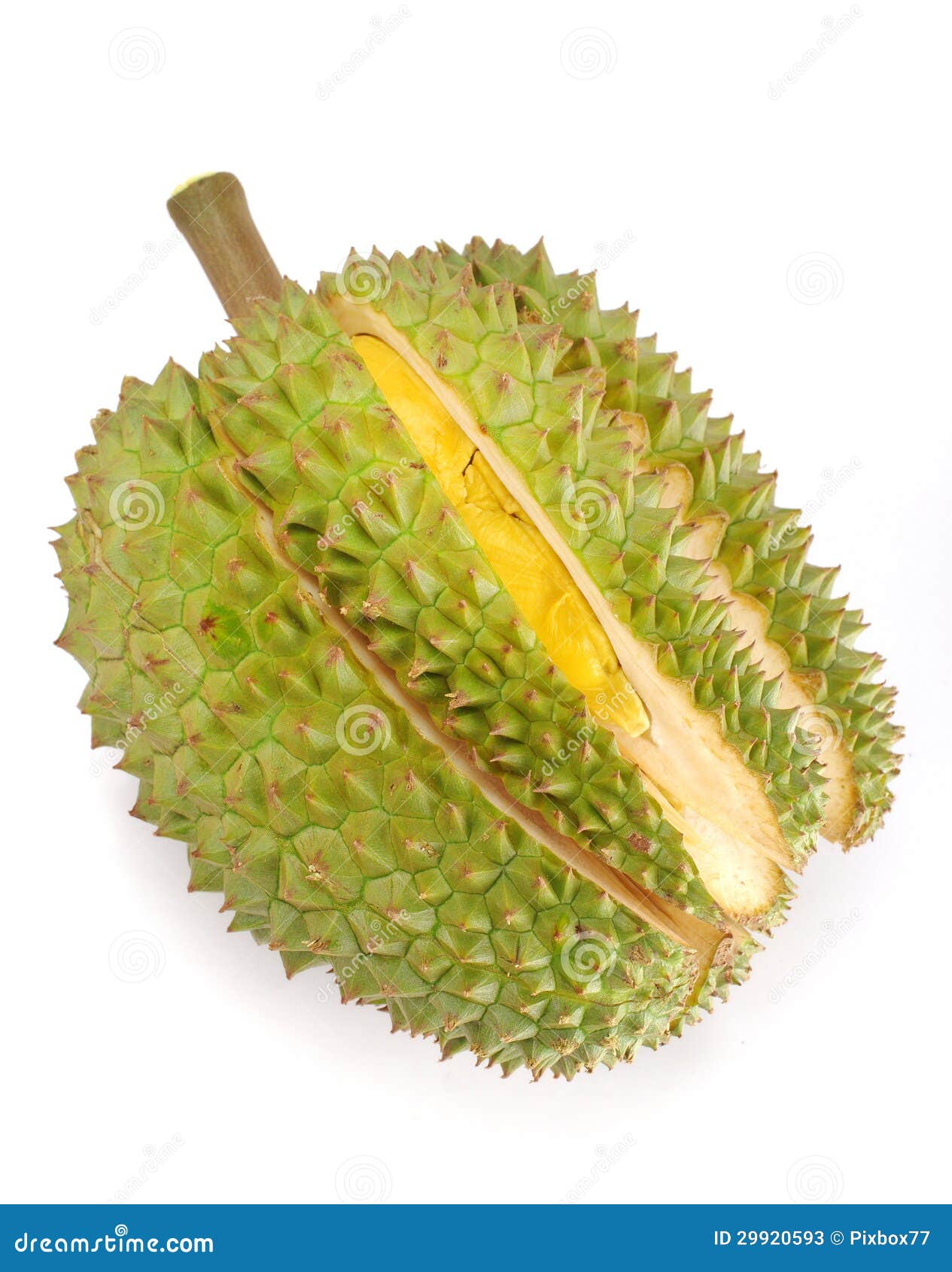 Durian on white background stock image. Image of nature - 29920593