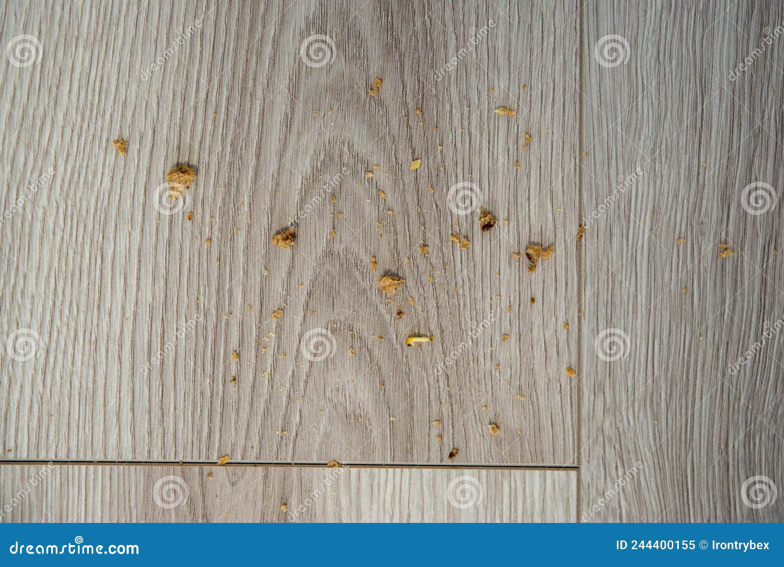 Close Up on Dust on the Floor Stock Image - Image of clean, concept ...