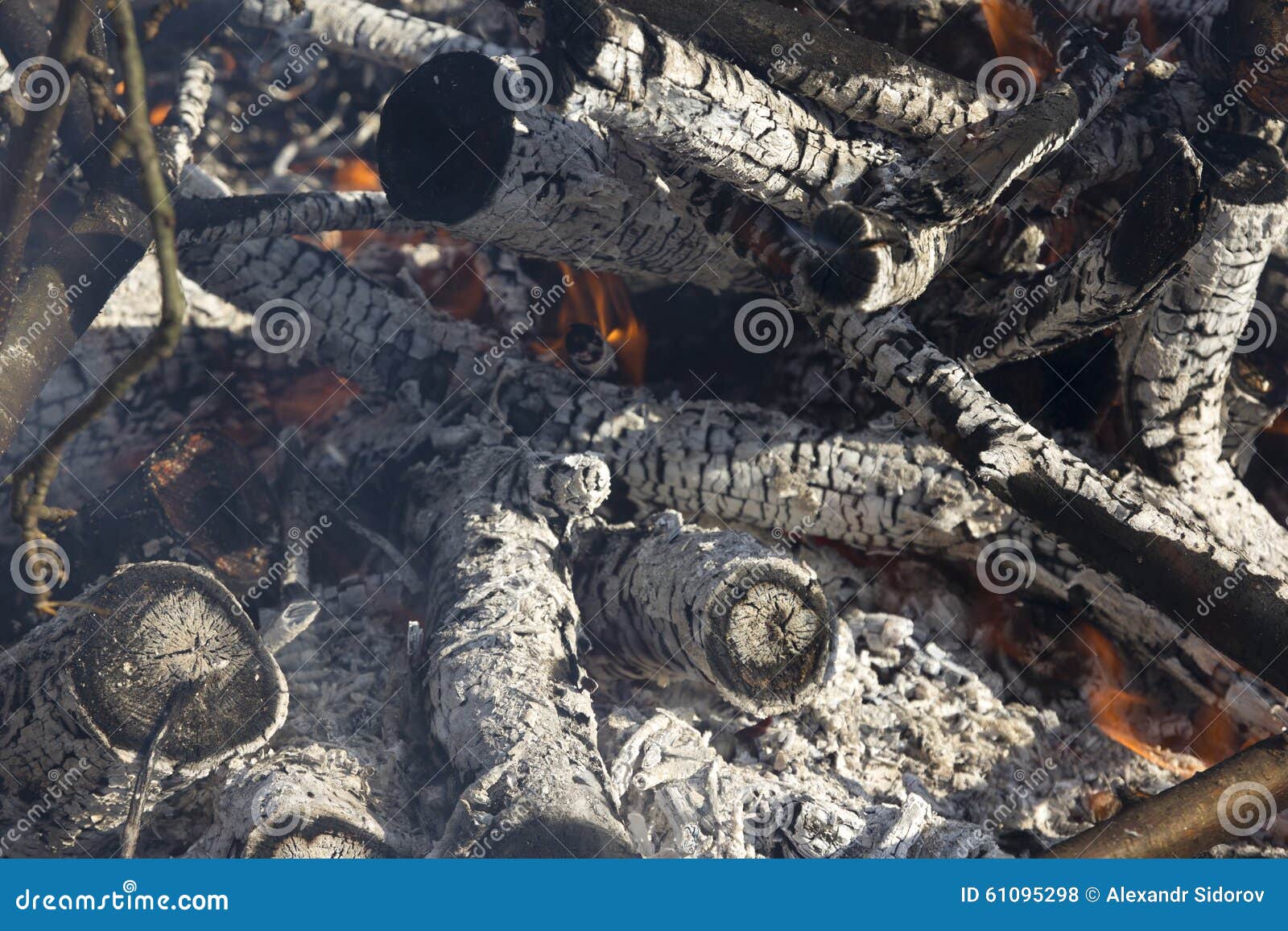 Close Up of a Dying Fire with Flames and Embers. Stock Photo - Image of ...