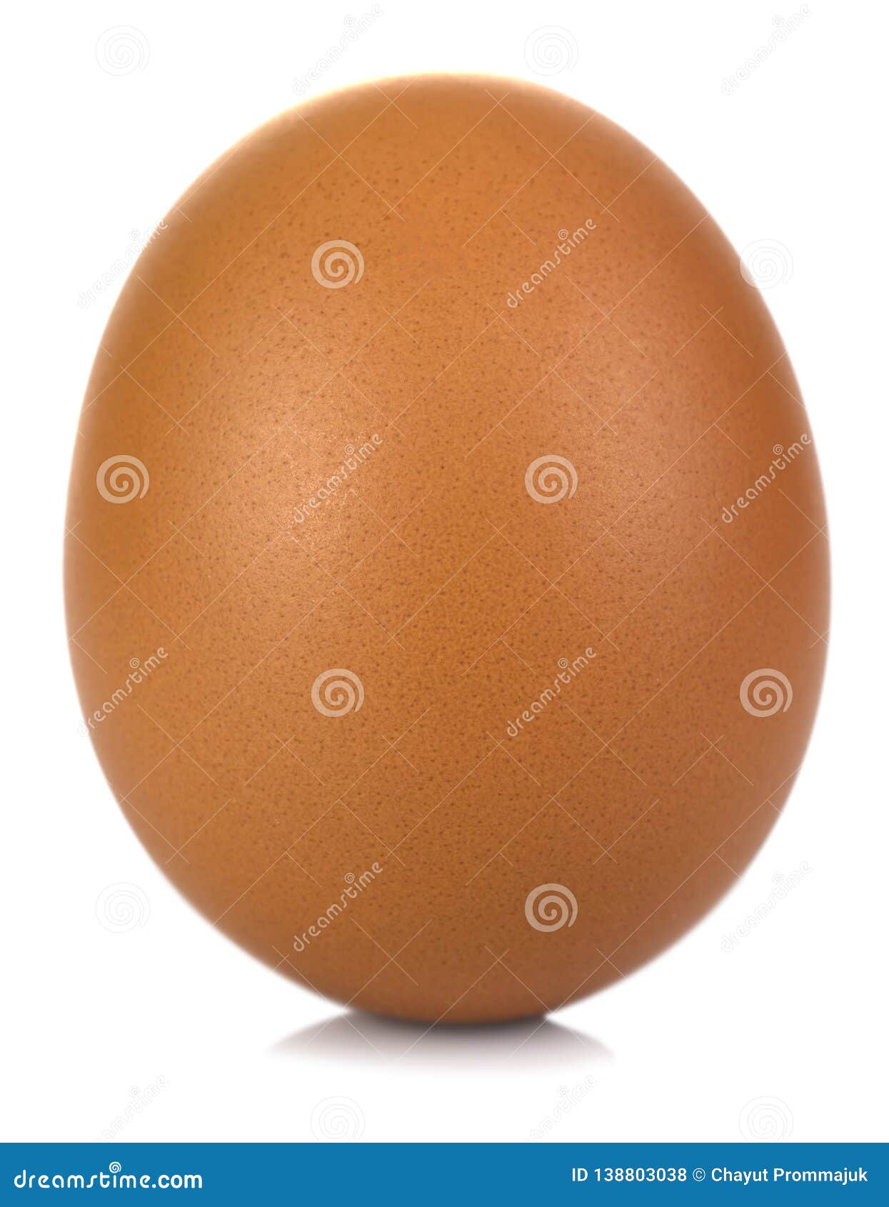 Close Up of an Egg Isolated on White Background Stock Photo - Image of ...